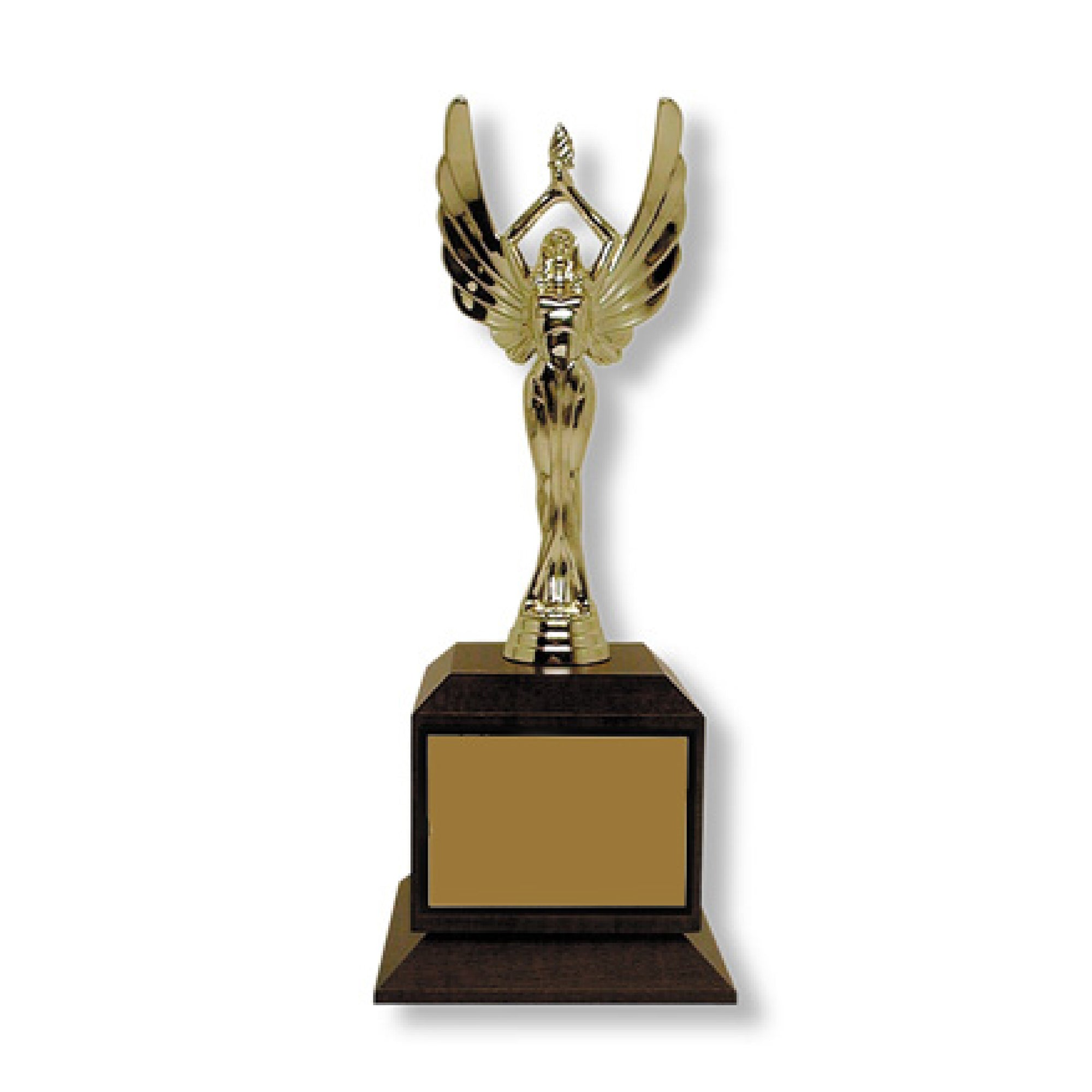 Triumph Victory Trophy – WFG Store